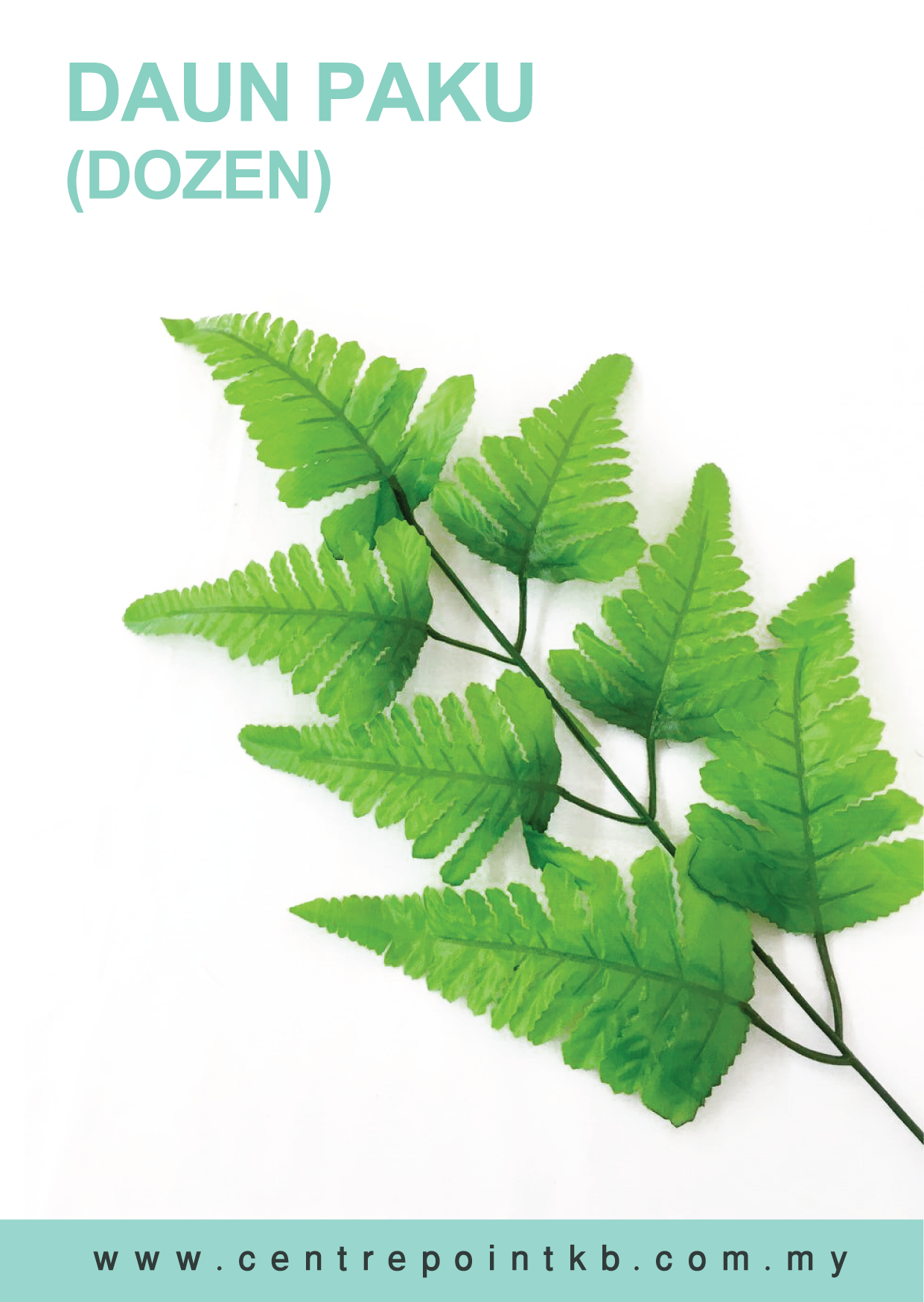 Daun Paku (12pcs/Dozen) – Perniagaan Centrepoint